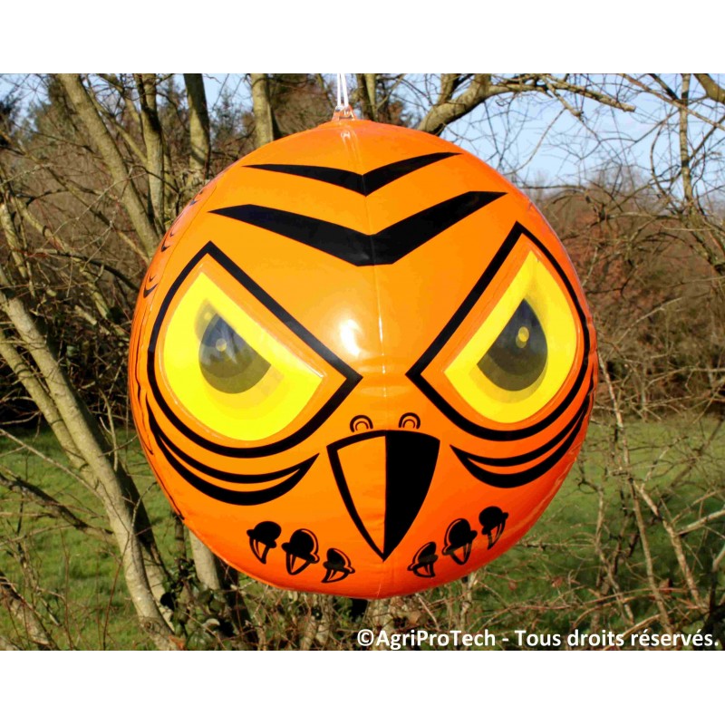 Panic eyes - the ultimate bird scarer ball