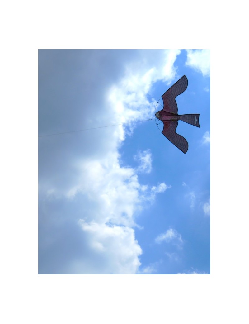 Cerfs-volants FlyTrac - conçus pour éloigner les oiseaux