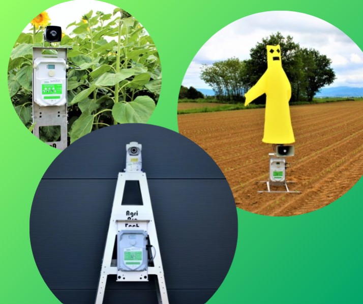 Nouvelles aides France Agrimer - Les effaroucheurs AgriProTech éligibles